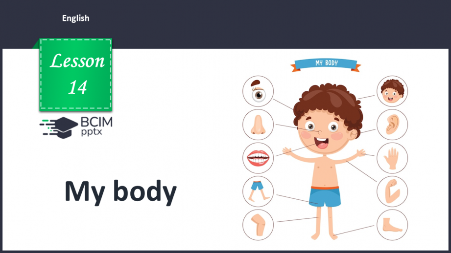 Урок №14 з англійської мови для 1 класу за Герберт Пухта - My body
